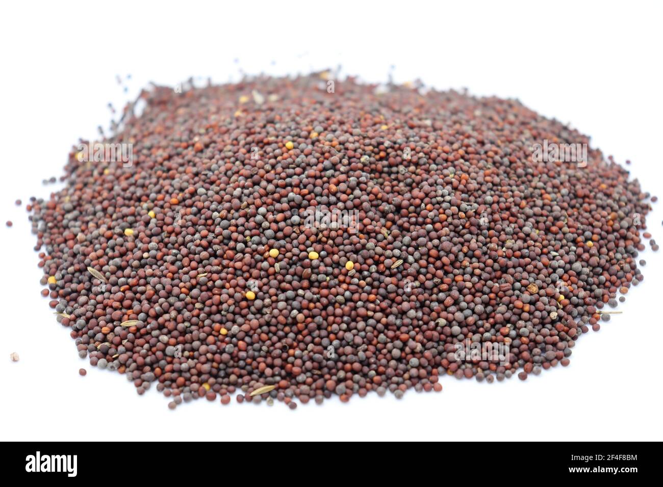 healthy and spicy mustard stock on white background Stock Photo - Alamy