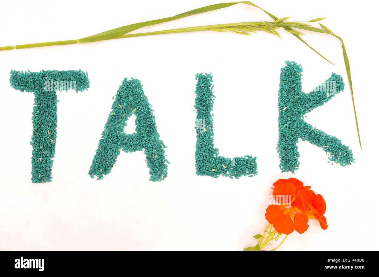 Green Talk word with orange flower and green plant on white background ...