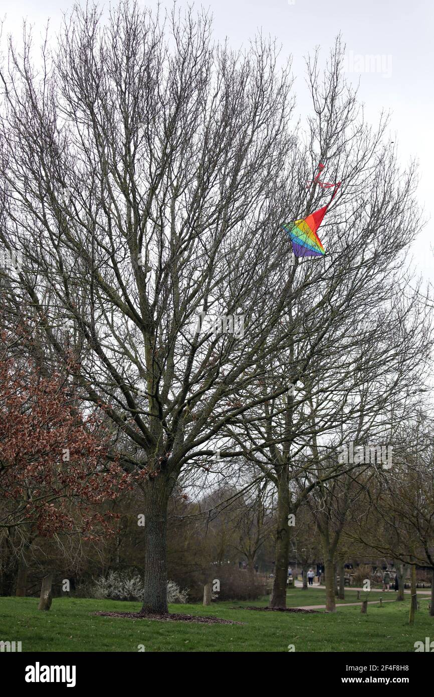 Kite stuck in tree hi-res stock photography and images - Alamy