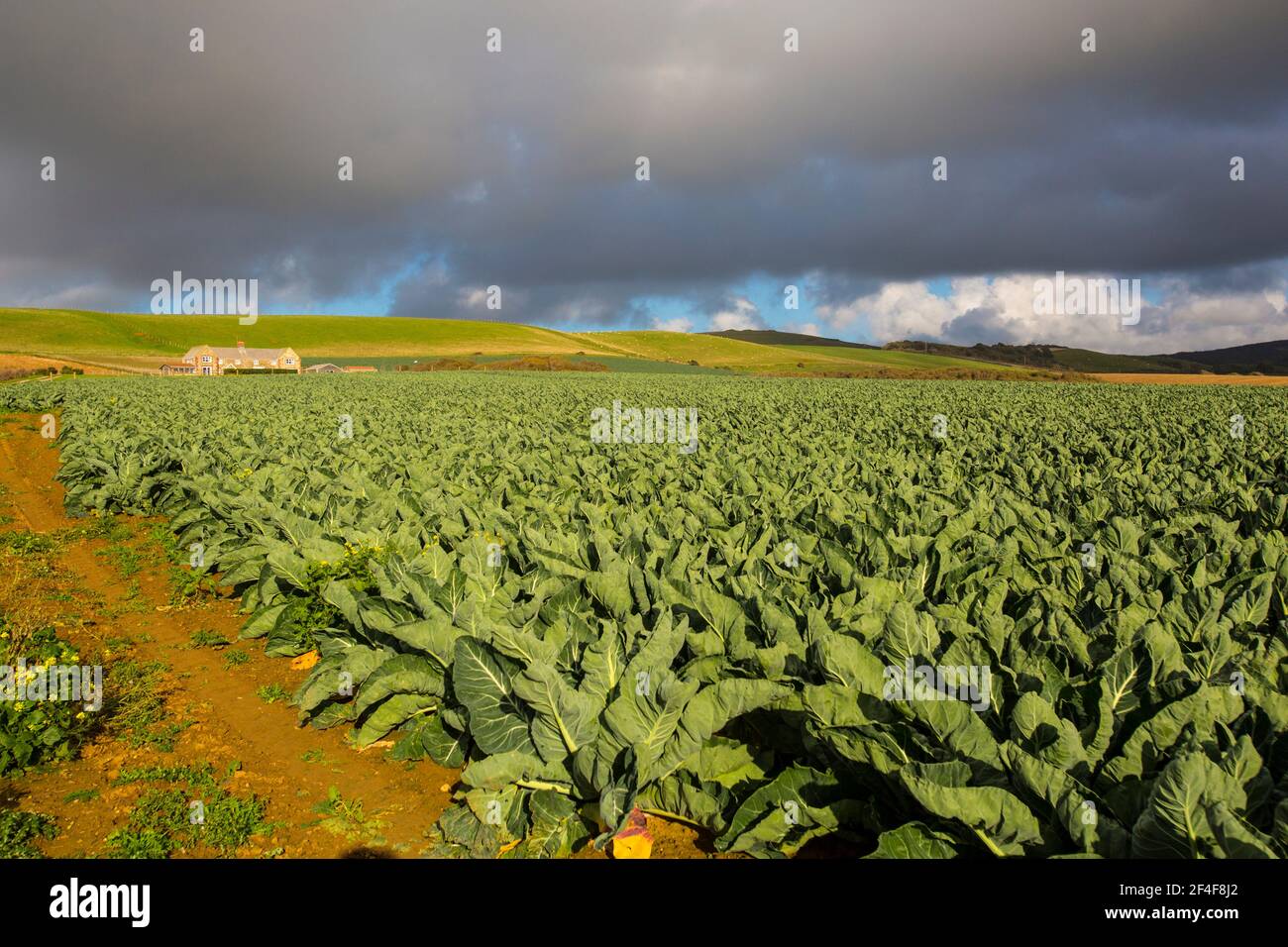 Agrochemicals hi-res stock photography and images - Alamy