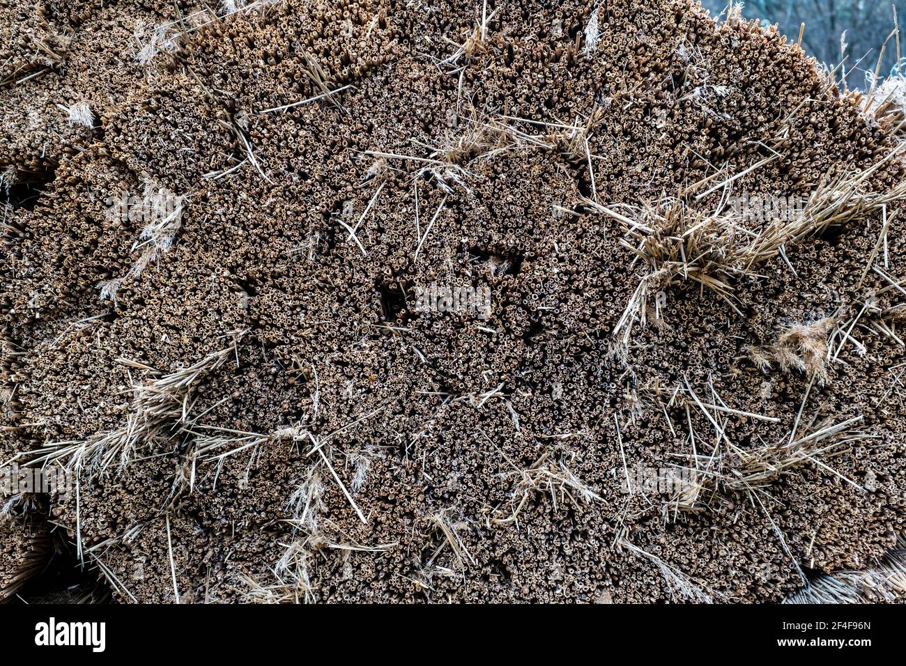 Reed ceiling hi-res stock photography and images - Alamy