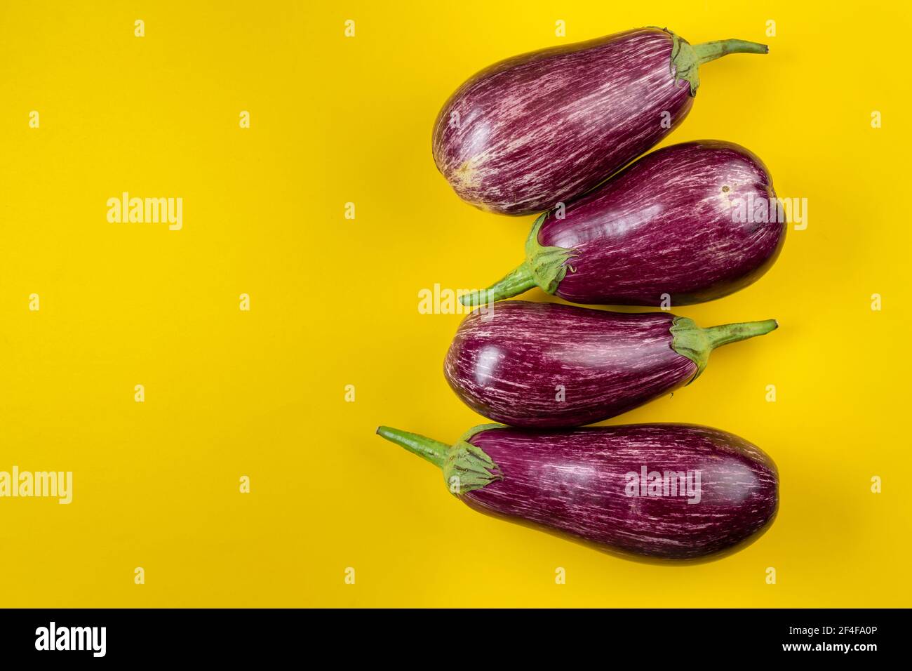 Raw purple eggplant on a yellow background. Fresh vegetables. Space for ...
