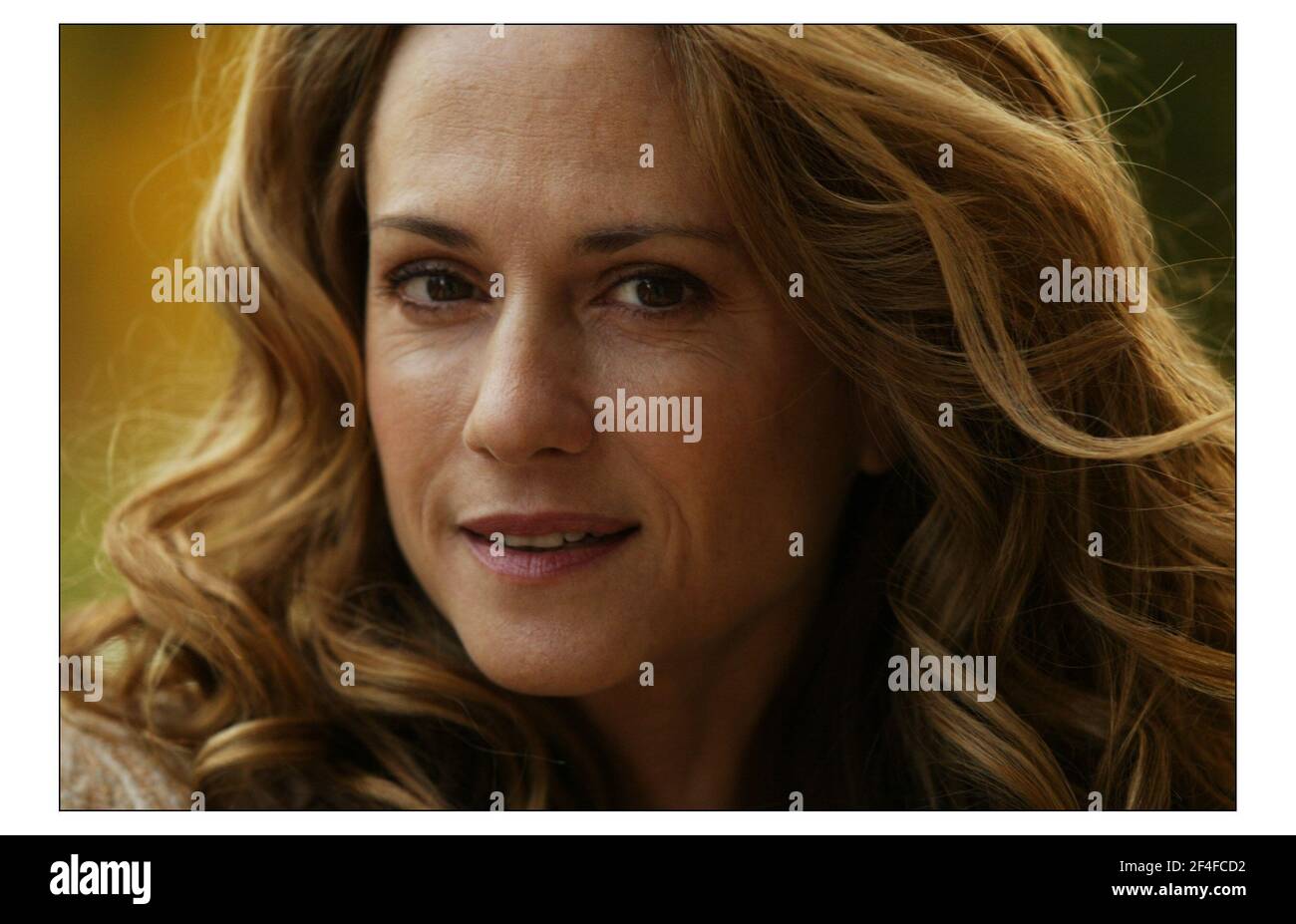 Holly hunter Cut Out Stock Images & Pictures - Alamy