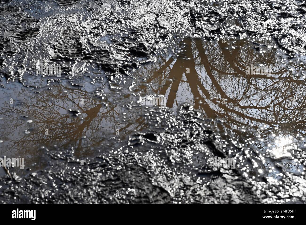 Reflections in puddle hi-res stock photography and images - Alamy