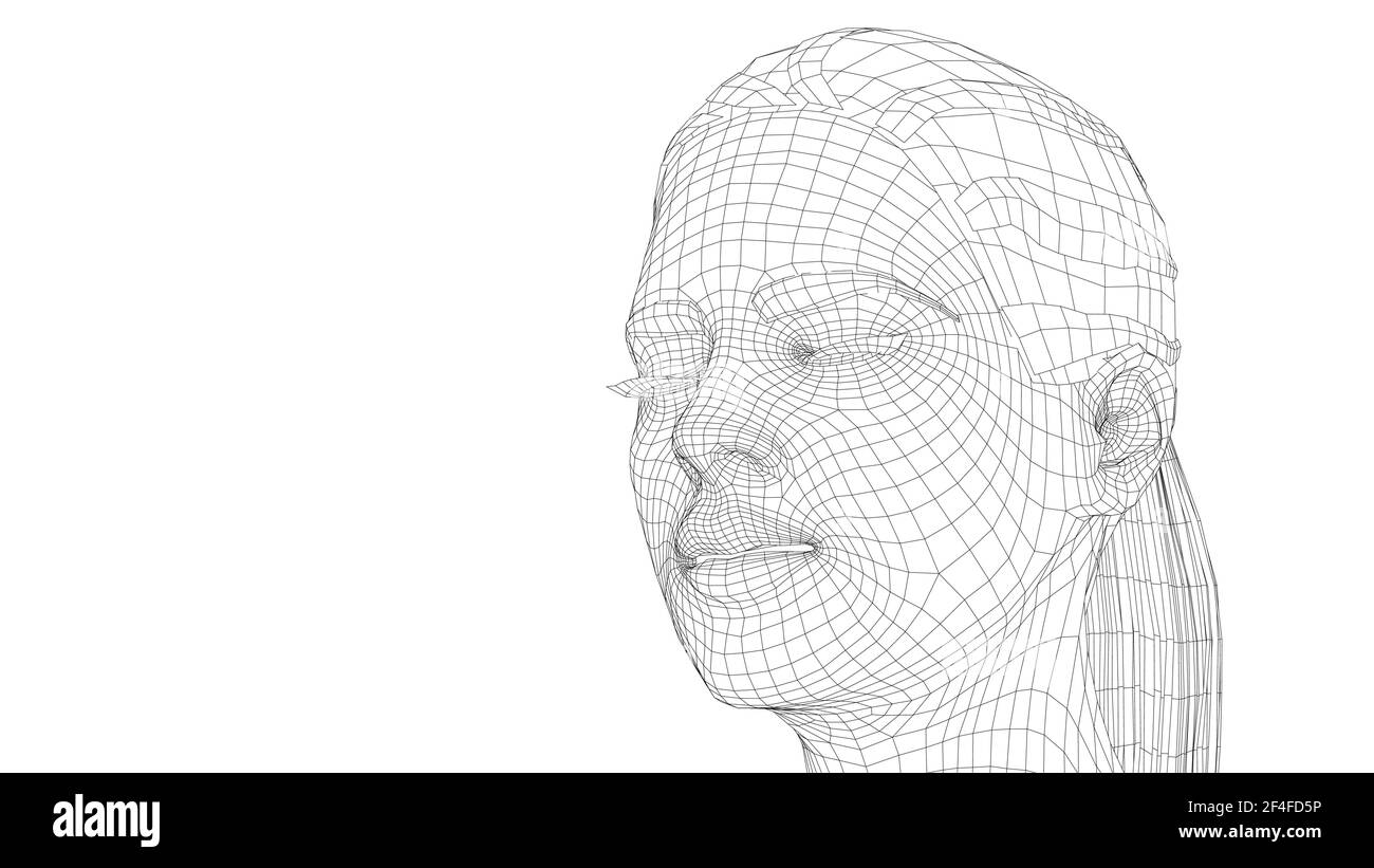 Wireframe portrait of a young beautiful girl with closed eyes. Ponytail ...