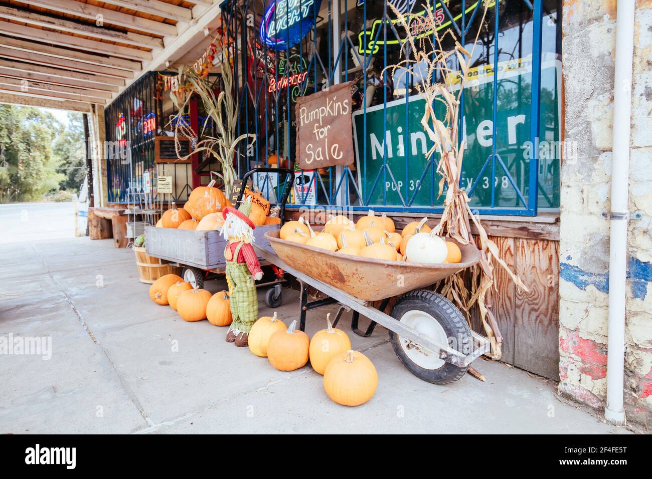 Minkler hi-res stock photography and images - Alamy