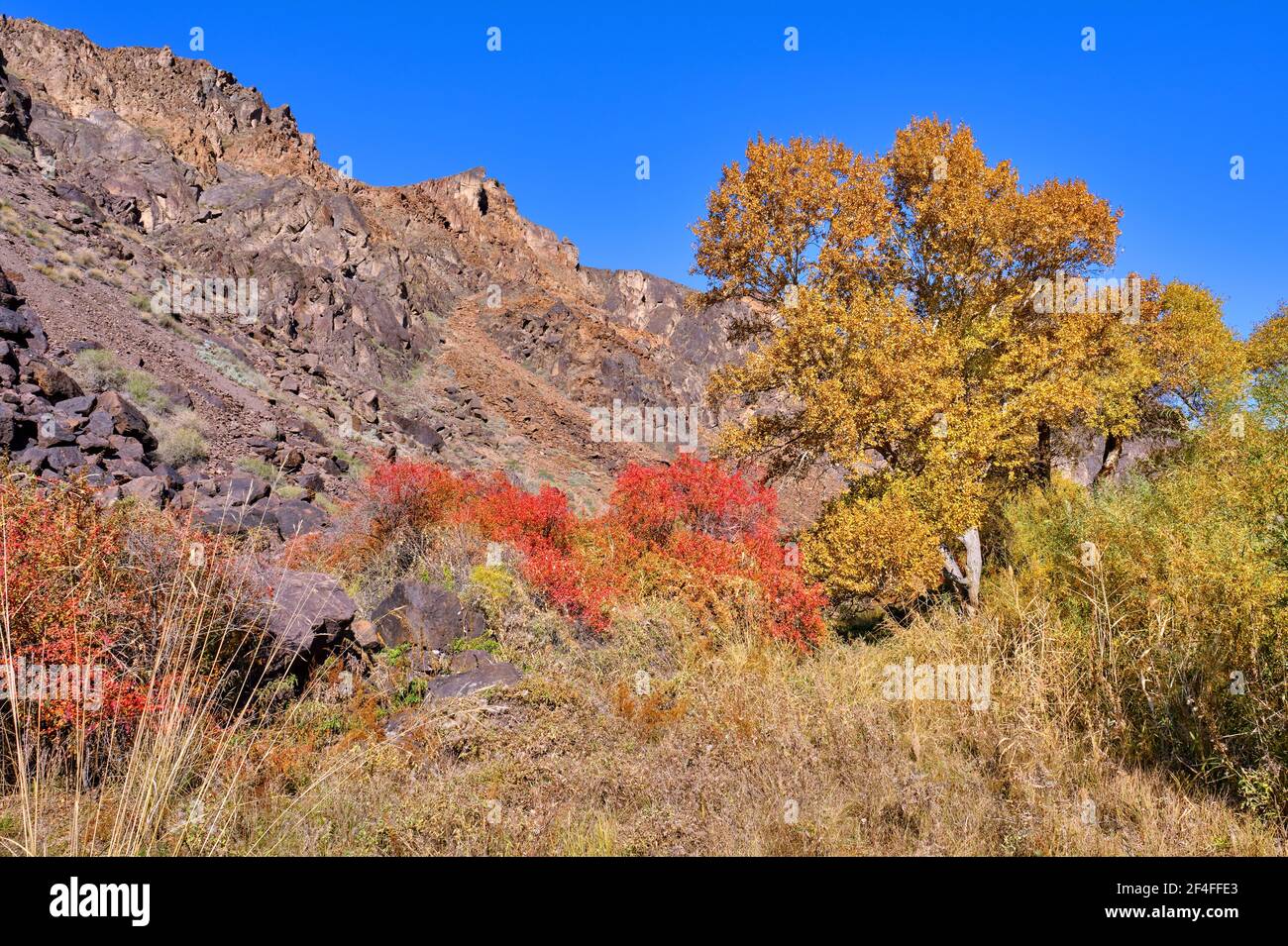 Fabulous pattern hi-res stock photography and images - Alamy