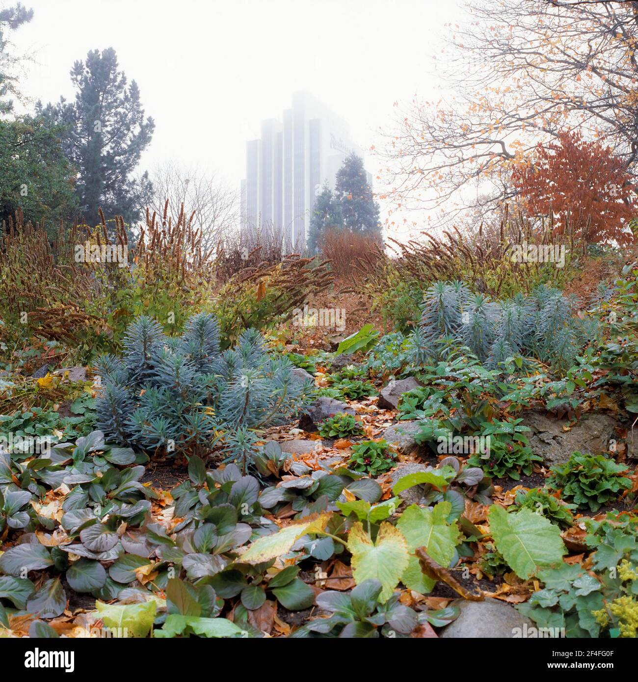Old botanical garden in Hamburg, Germany Stock Photo - Alamy