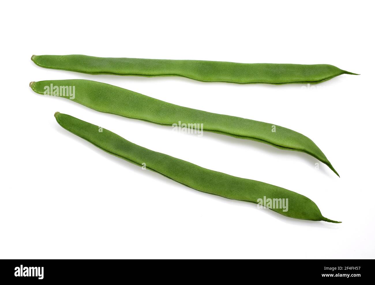 Garden Bean, Green Bean, Green Beans (phaseolus vulgaris), Butterfly ...