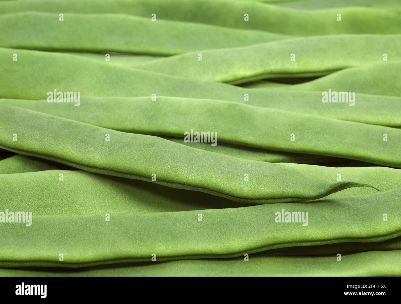 Garden Bean, Green Bean, Green Bean (phaseolus vulgaris), Butterfly ...