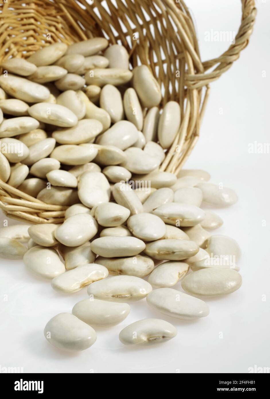 Garden Bean, Green Bean, Green Beans (phaseolus vulgaris), Butterfly ...