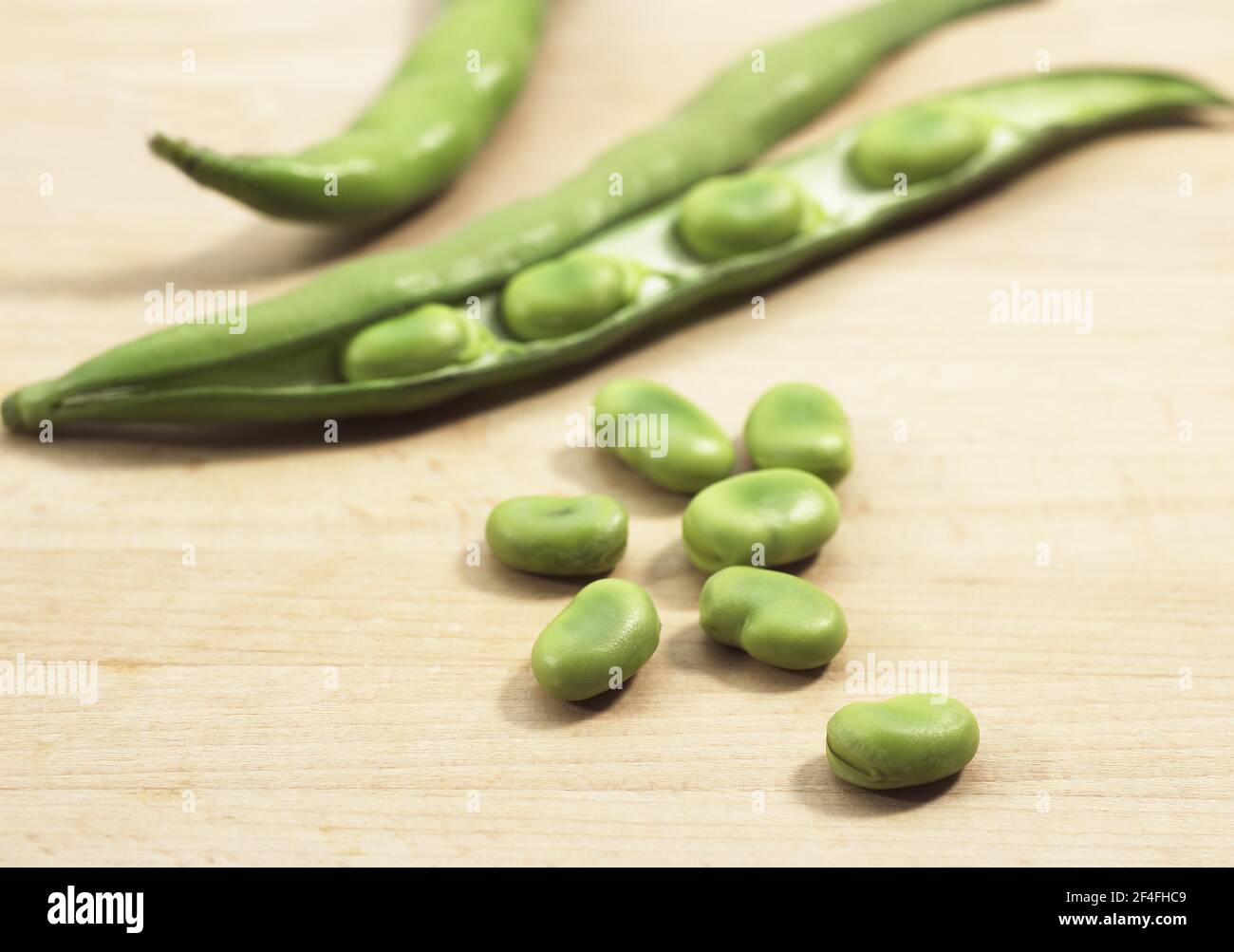 Fava Bean, Field Bean, Broad Bean, Horse Bean, Broad Bean, Butterfly ...