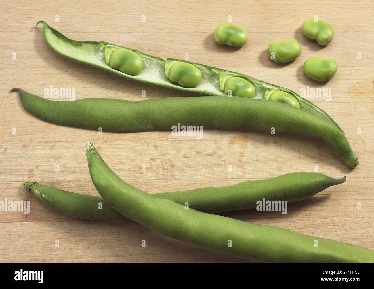 Fava Bean, Field Bean, Broad Bean, Horse Bean, Broad Bean, Butterfly ...