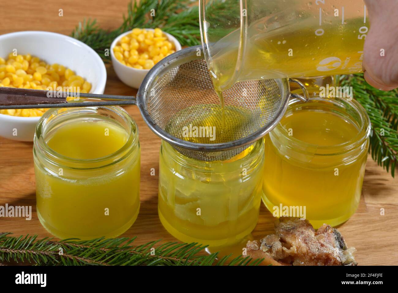 Production of spruce resin ointment (Picea abies Stock Photo - Alamy