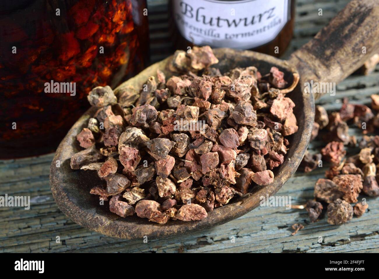 Potentilla erecta (Potentilla tormentilla) dried roots Stock Photo - Alamy