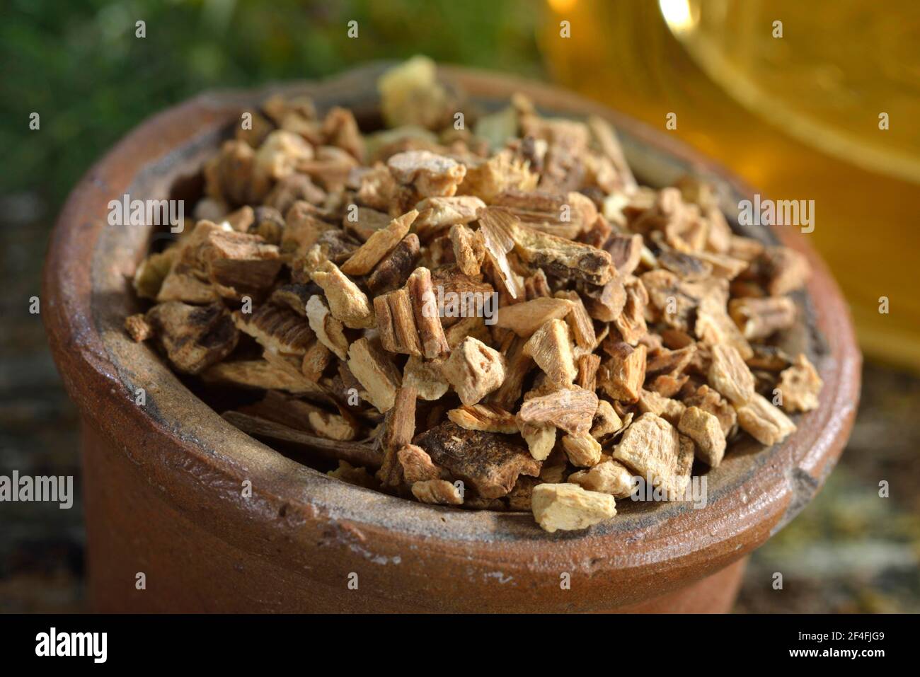 Gentianae hi-res stock photography and images - Alamy