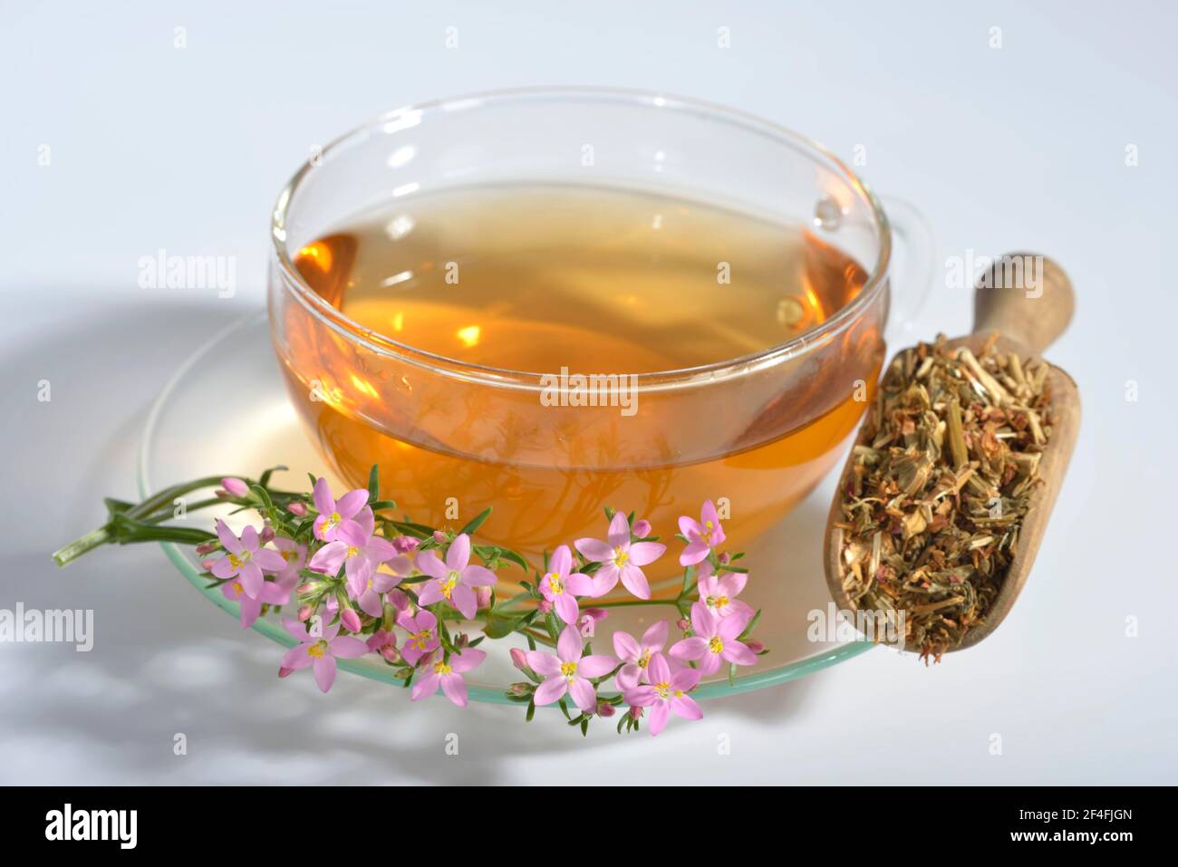 Cup of tea, Centaurium pulchellumtea Stock Photo - Alamy