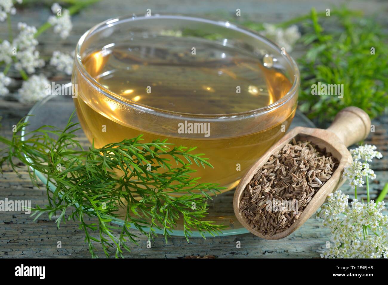 Caraway seed tea hi-res stock photography and images - Alamy