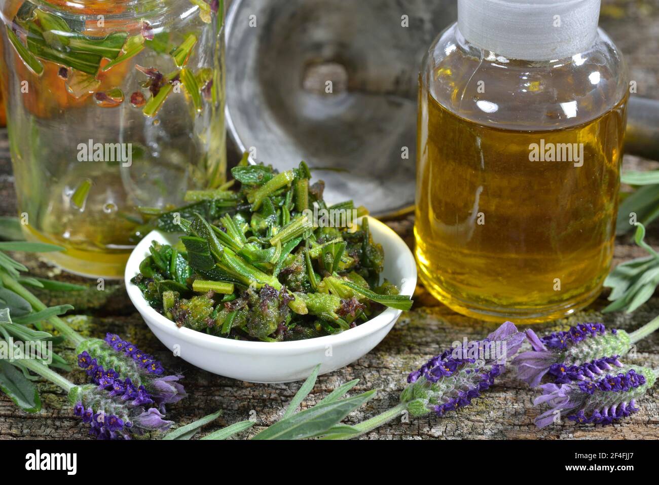 Production Lavender oil (Lavandula angustifolia), Lavender oil Stock ...