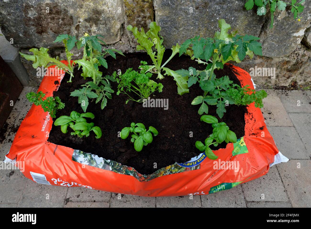 Potting soil hi-res stock photography and images - Alamy