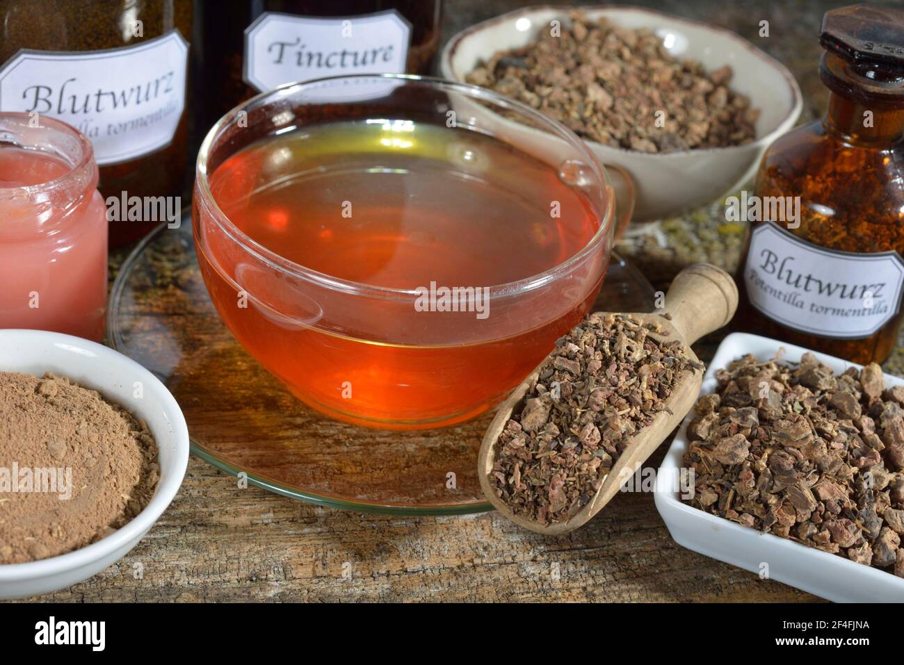 Potentilla erecta (Potentilla tormentilla) ointment, tea, roots crushed ...