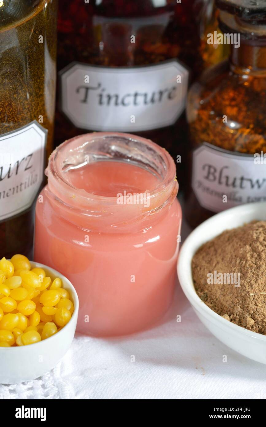 Potentilla erecta (Potentilla tormentilla) ointment, tea, roots crushed ...