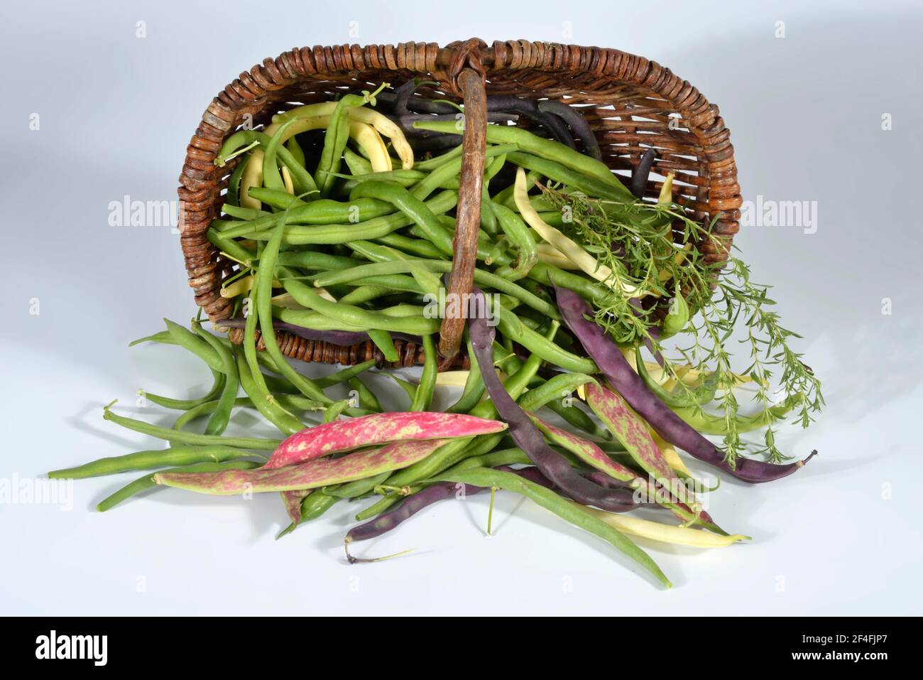 Various bush beans (Phaseolus vulgaris nanus Stock Photo - Alamy