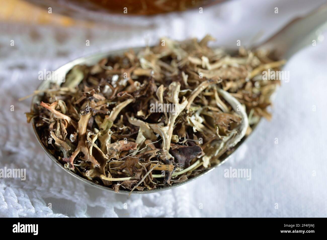 Iceland moss tea hi-res stock photography and images - Alamy
