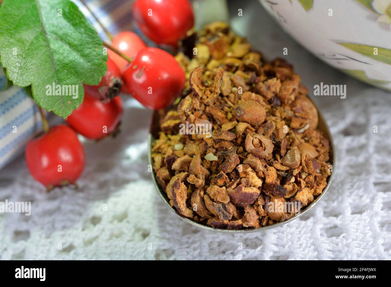 Common hawthorn, Berries fresh and dried (Crataegus monogyna ...
