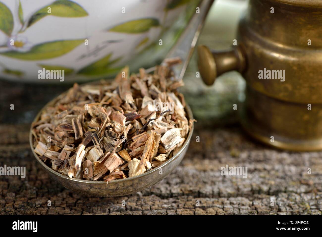 Sarsaparilla roots (Radix sarsaparillae) (Sarsaparilla), American ...