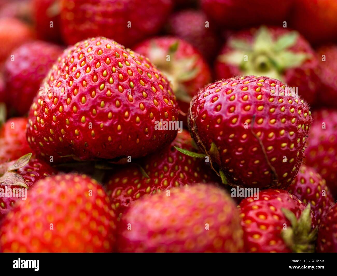 Food Frame Background - Fresh ripe perfect strawberries Stock Photo - Alamy