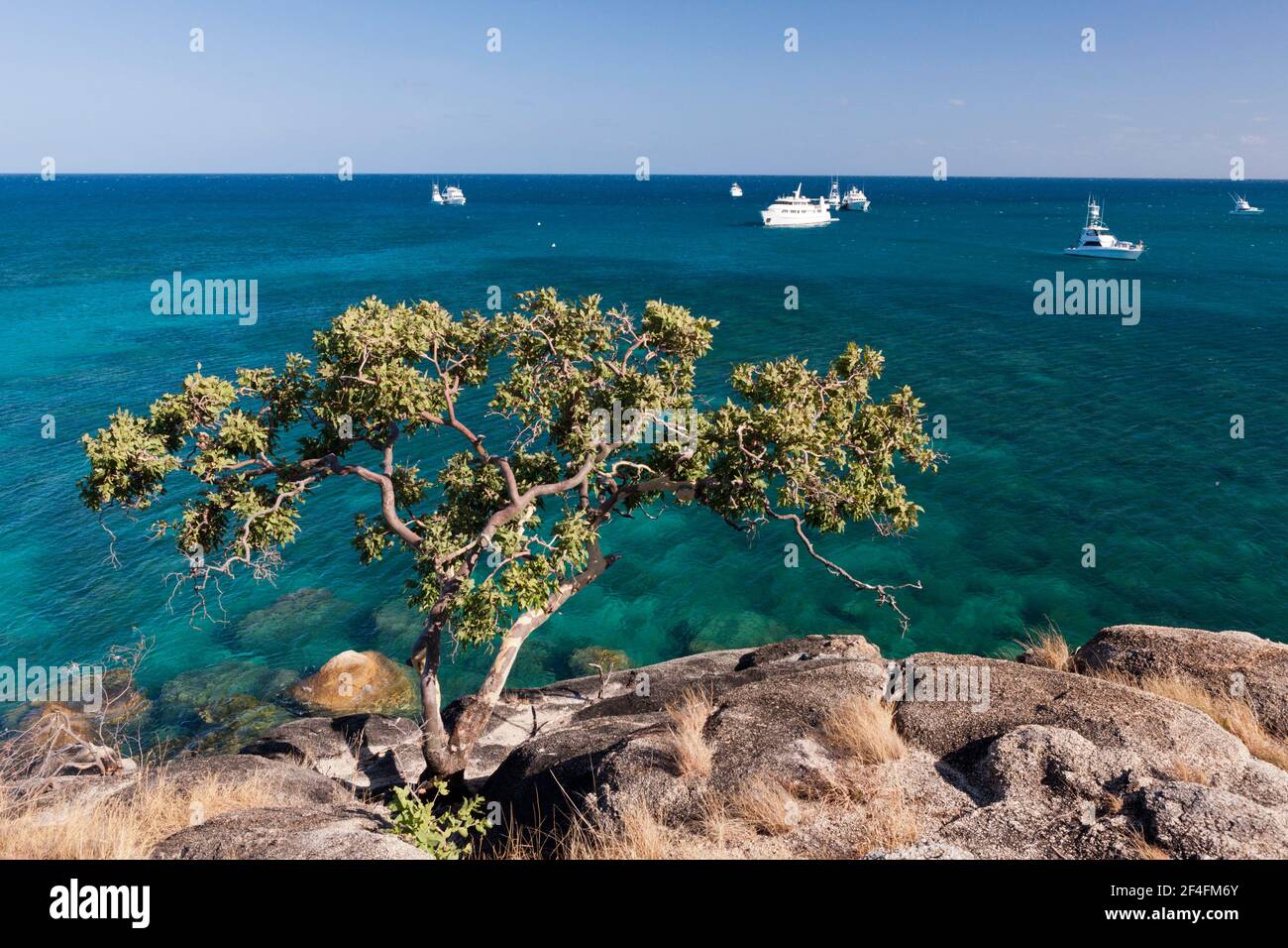 Lizard island great barrier reef hi-res stock photography and images ...