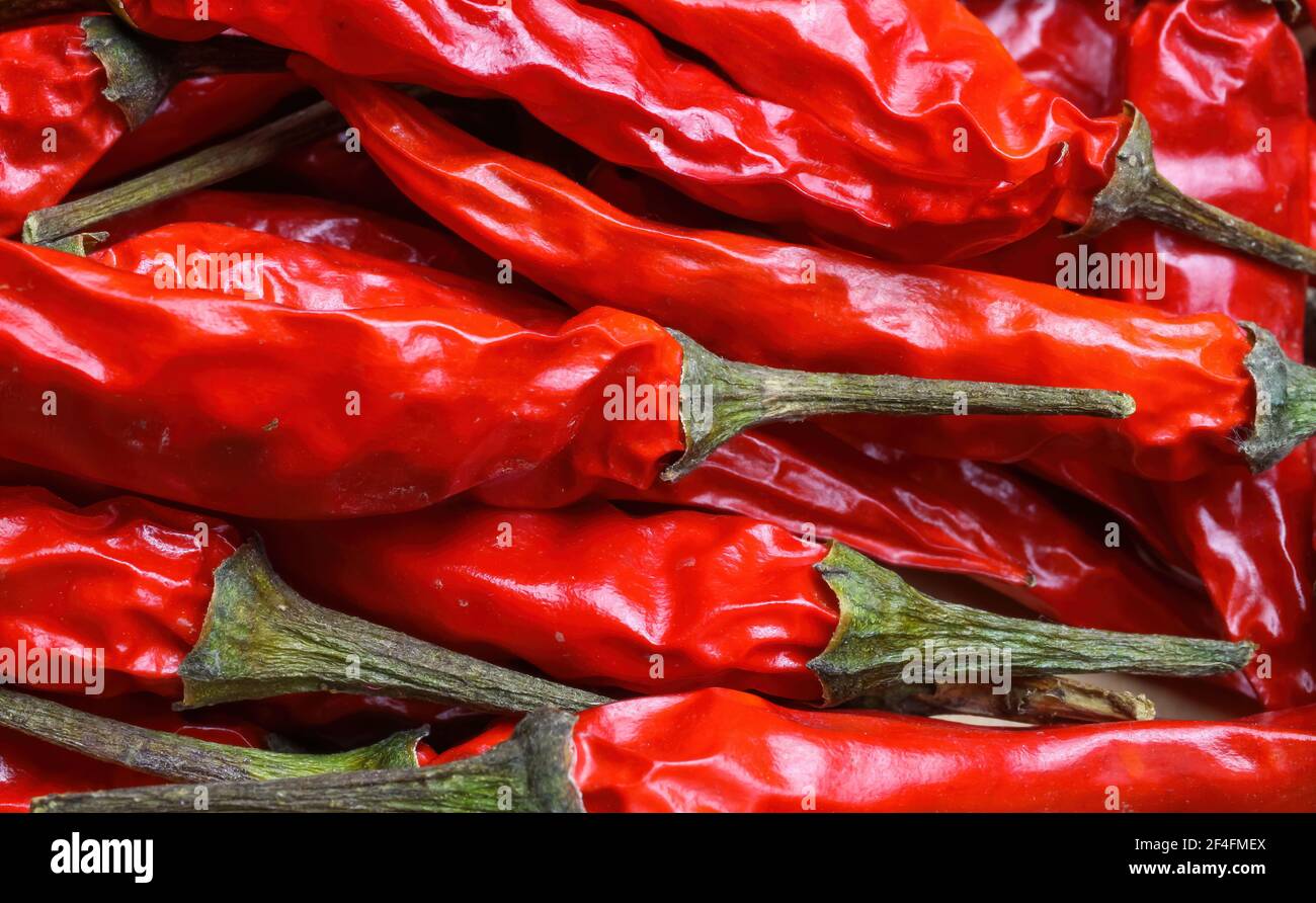 Full frame macro closeup of isolated shiny red raw chili peppers with ...