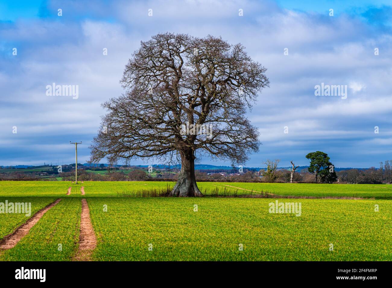 Old english countryside hi-res stock photography and images - Alamy