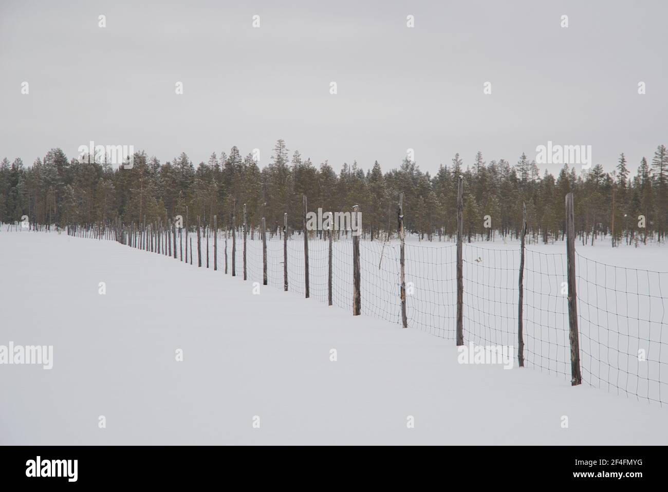 Reindeer fence hi-res stock photography and images - Alamy