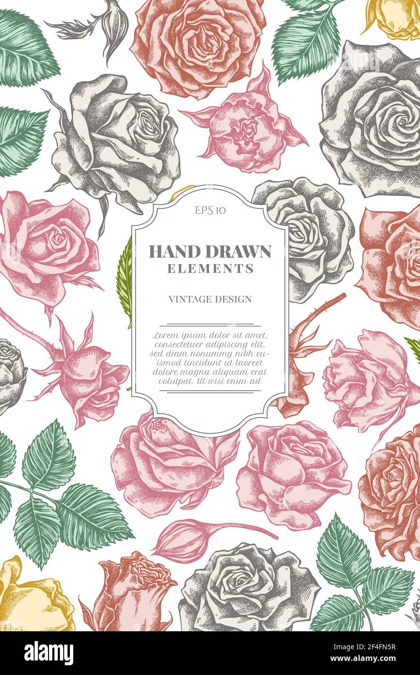 Faded red roses Stock Vector Images - Alamy