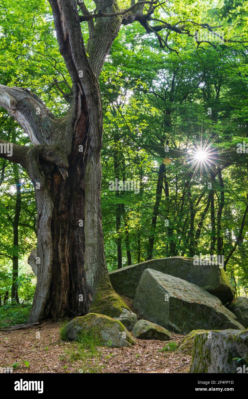 Sacrificial table hi-res stock photography and images - Alamy
