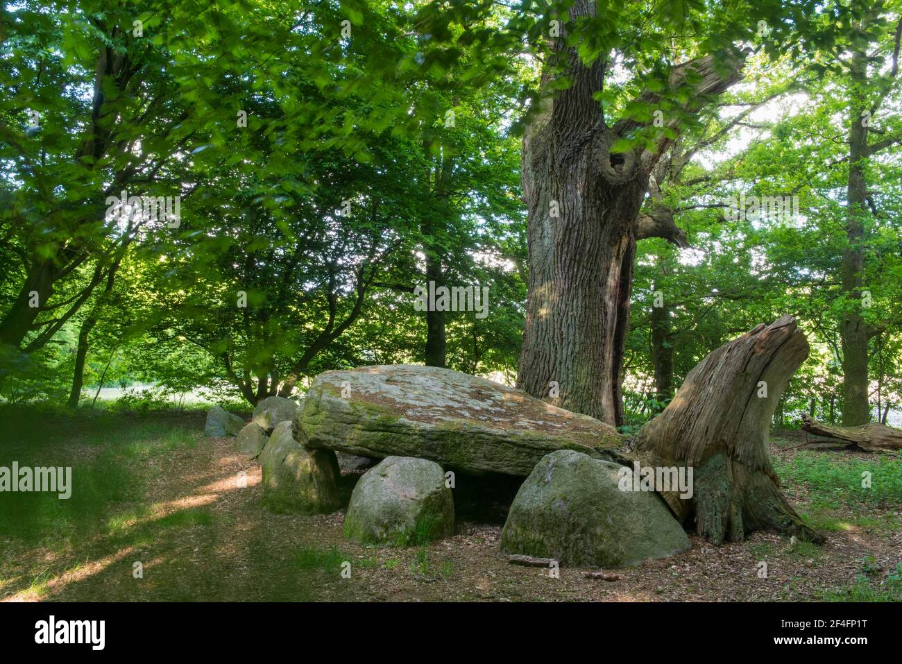 Large stone grave, Heide sacrificial table, ca. 3400 B.C., Baeken of ...