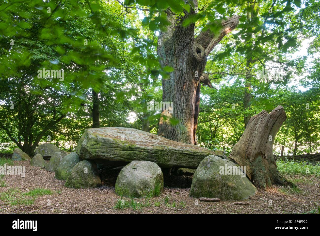 Sacrificial table hi-res stock photography and images - Alamy