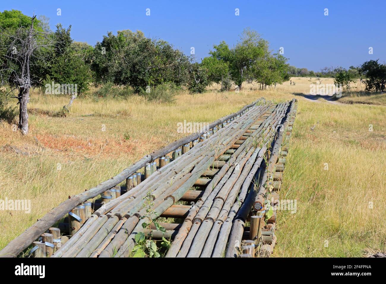 Wooden bridge, floodplain, Okavango Delta, Botswana Stock Photo - Alamy
