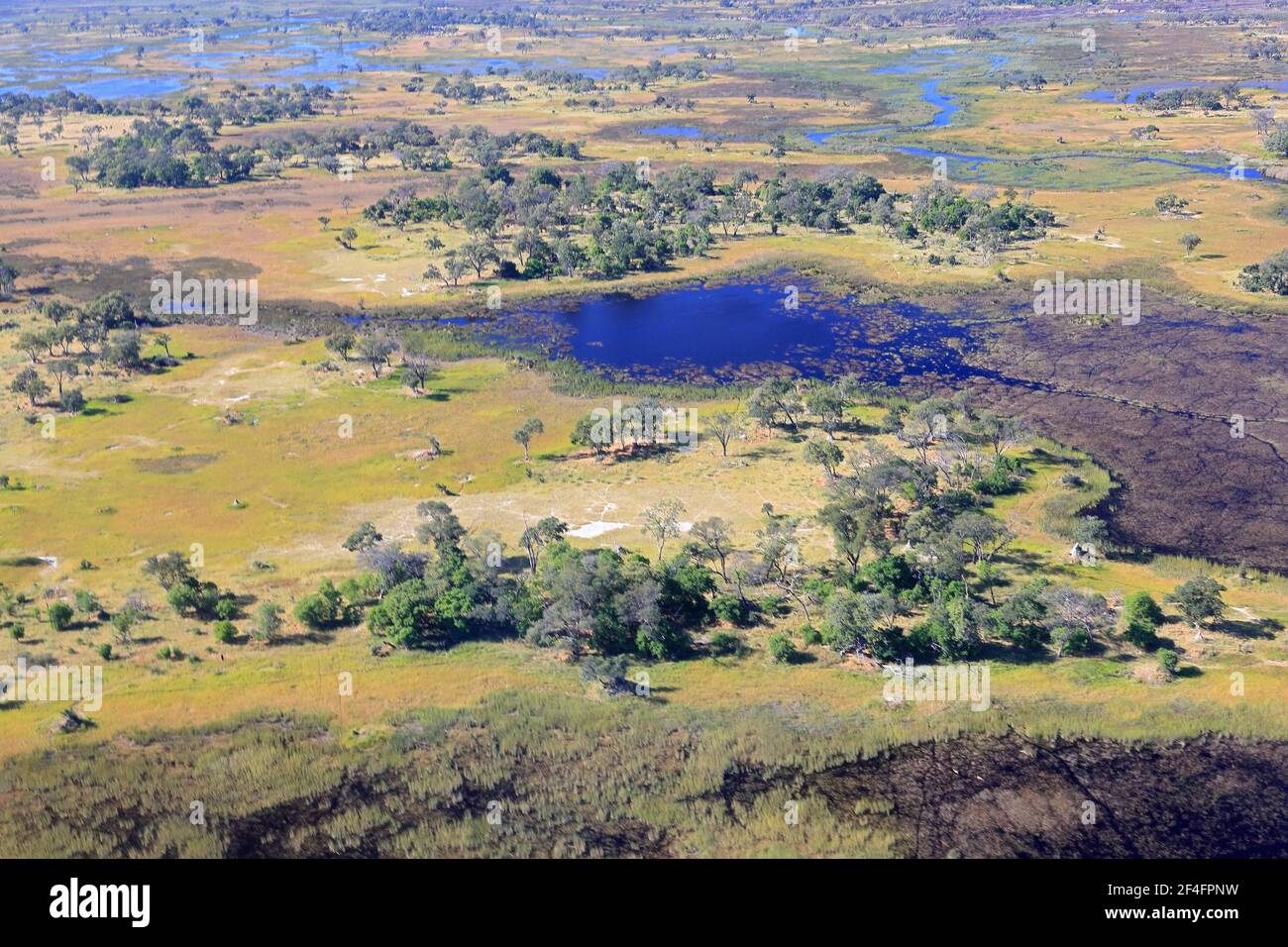 Okavango inland delta hi-res stock photography and images - Alamy