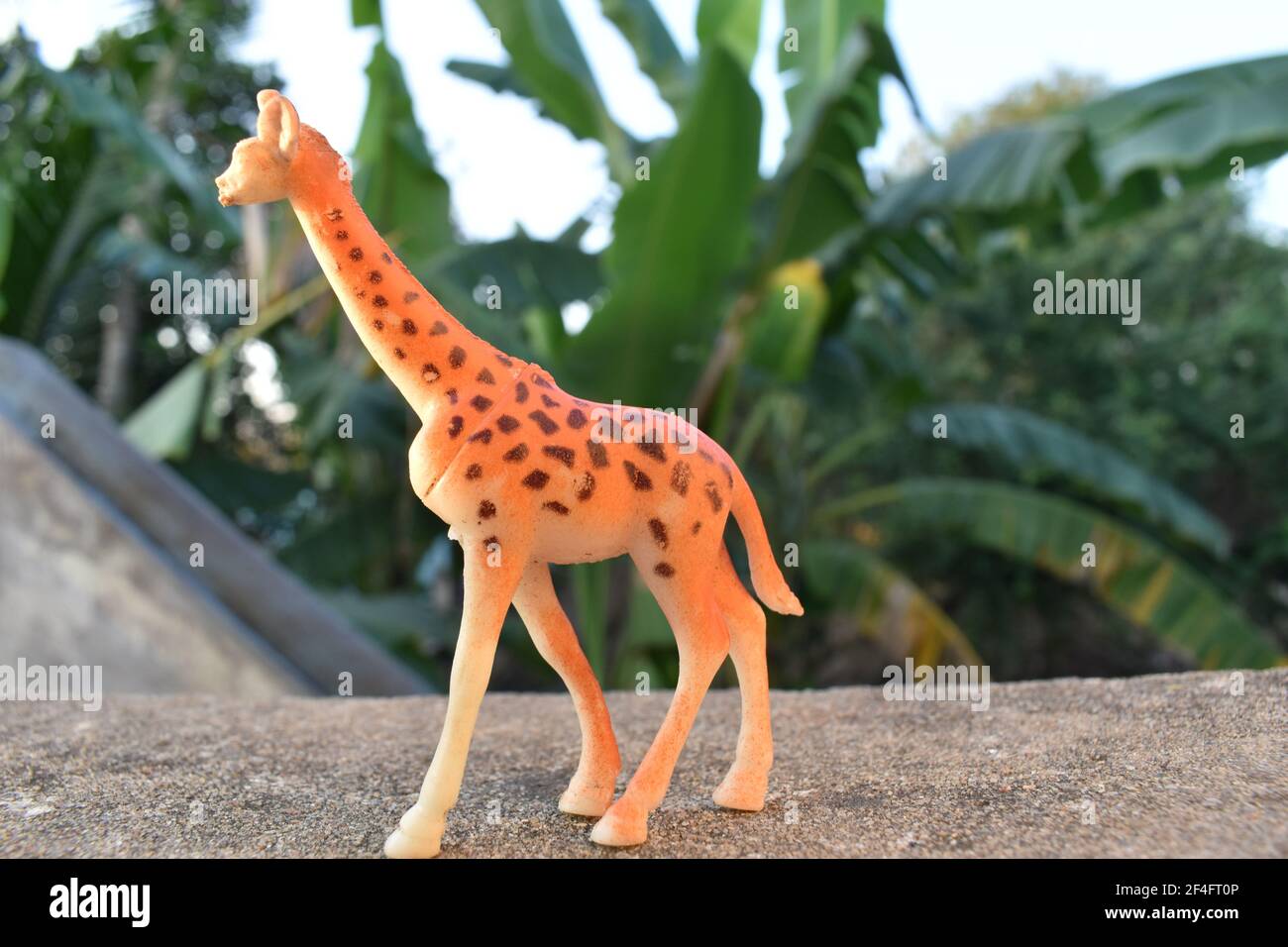 Beautiful miniature giraffe standing up made of plastic. Selective ...