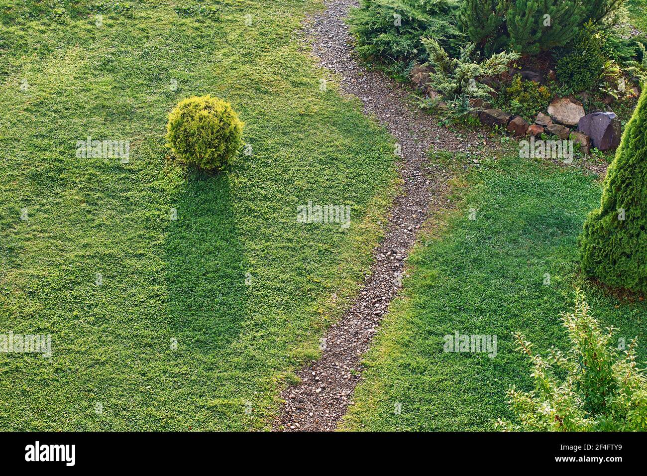 Part of a landscape design with a ball-shaped bush, green grass and a ...