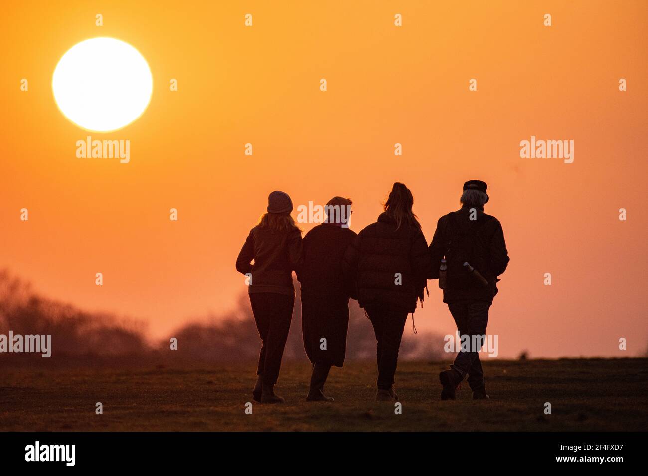 Four friends link arms and walk under a setting son in a London Park ...