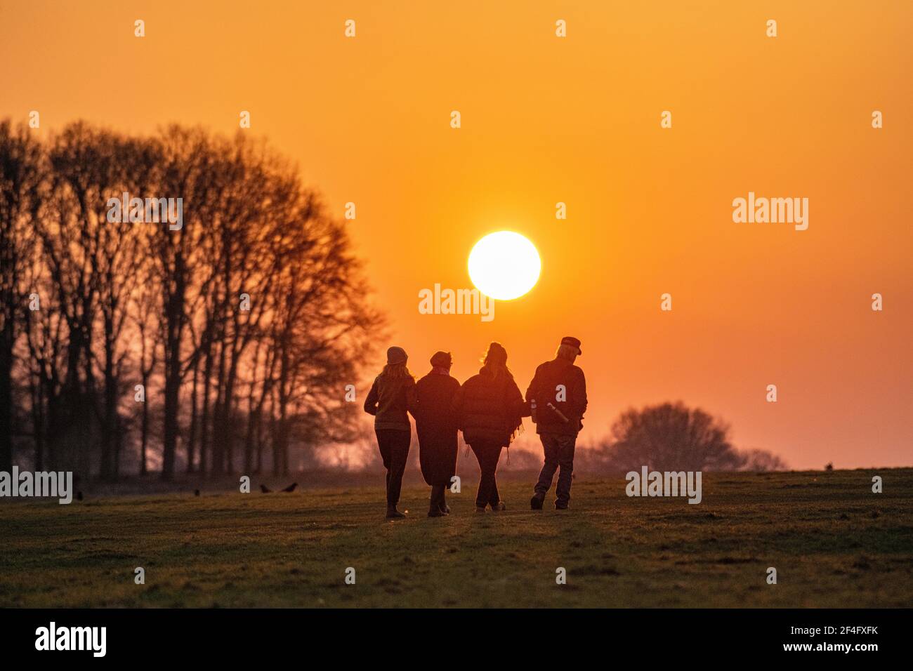 Four friends link arms and walk under a setting son in a London Park ...