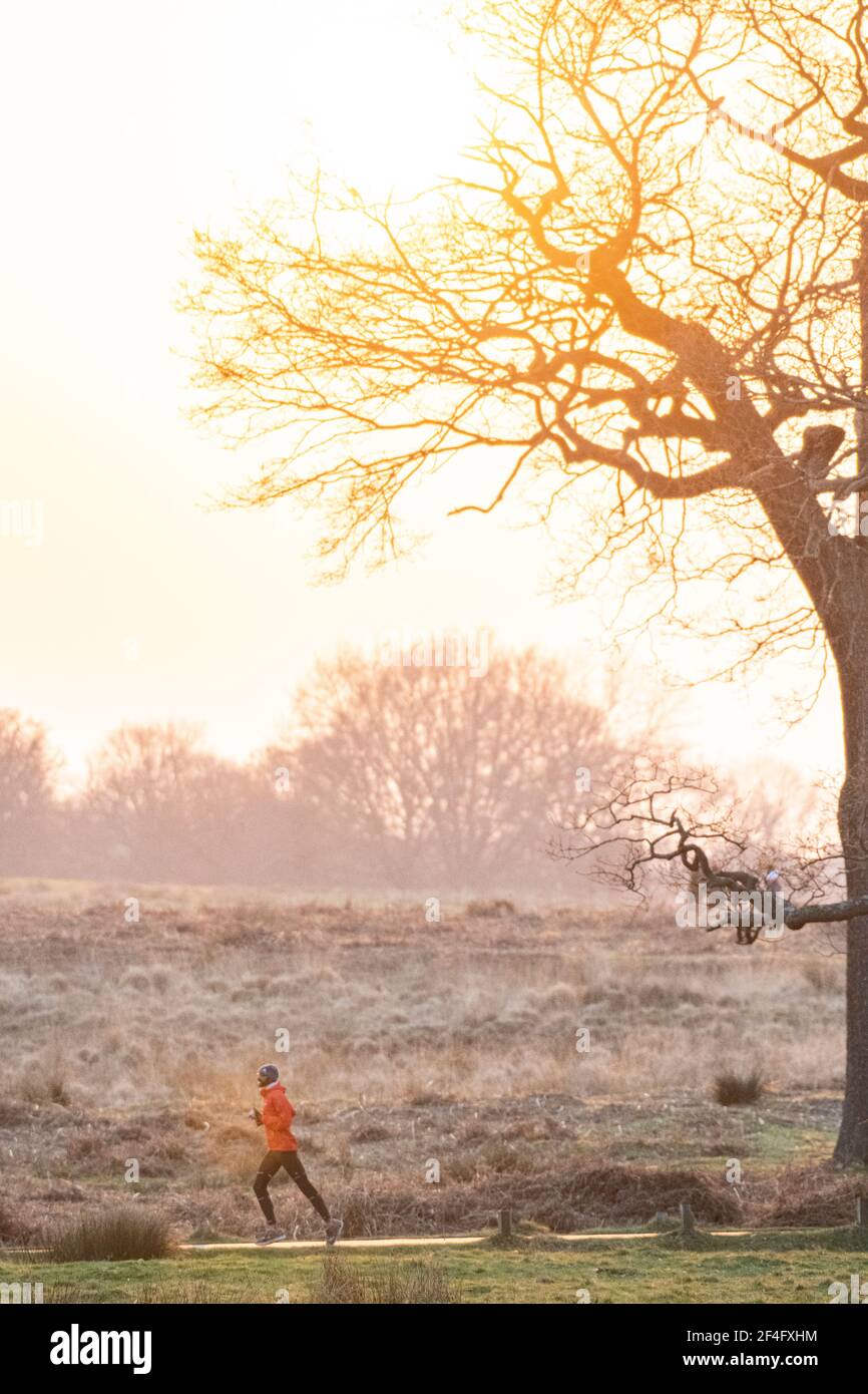 Sunshine on a winters day hi-res stock photography and images - Alamy