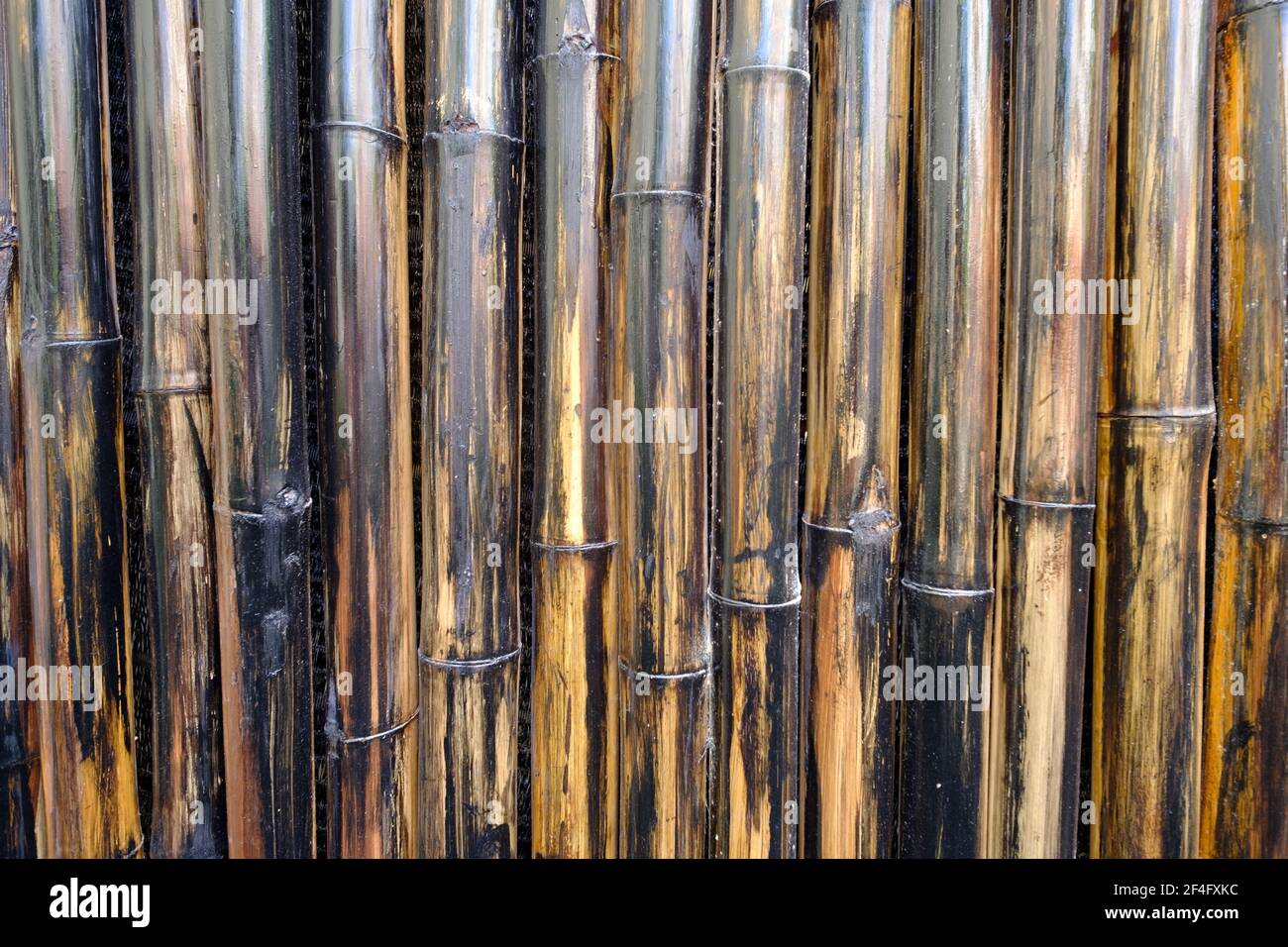 Vertical wood trunks wall texture hi-res stock photography and images ...