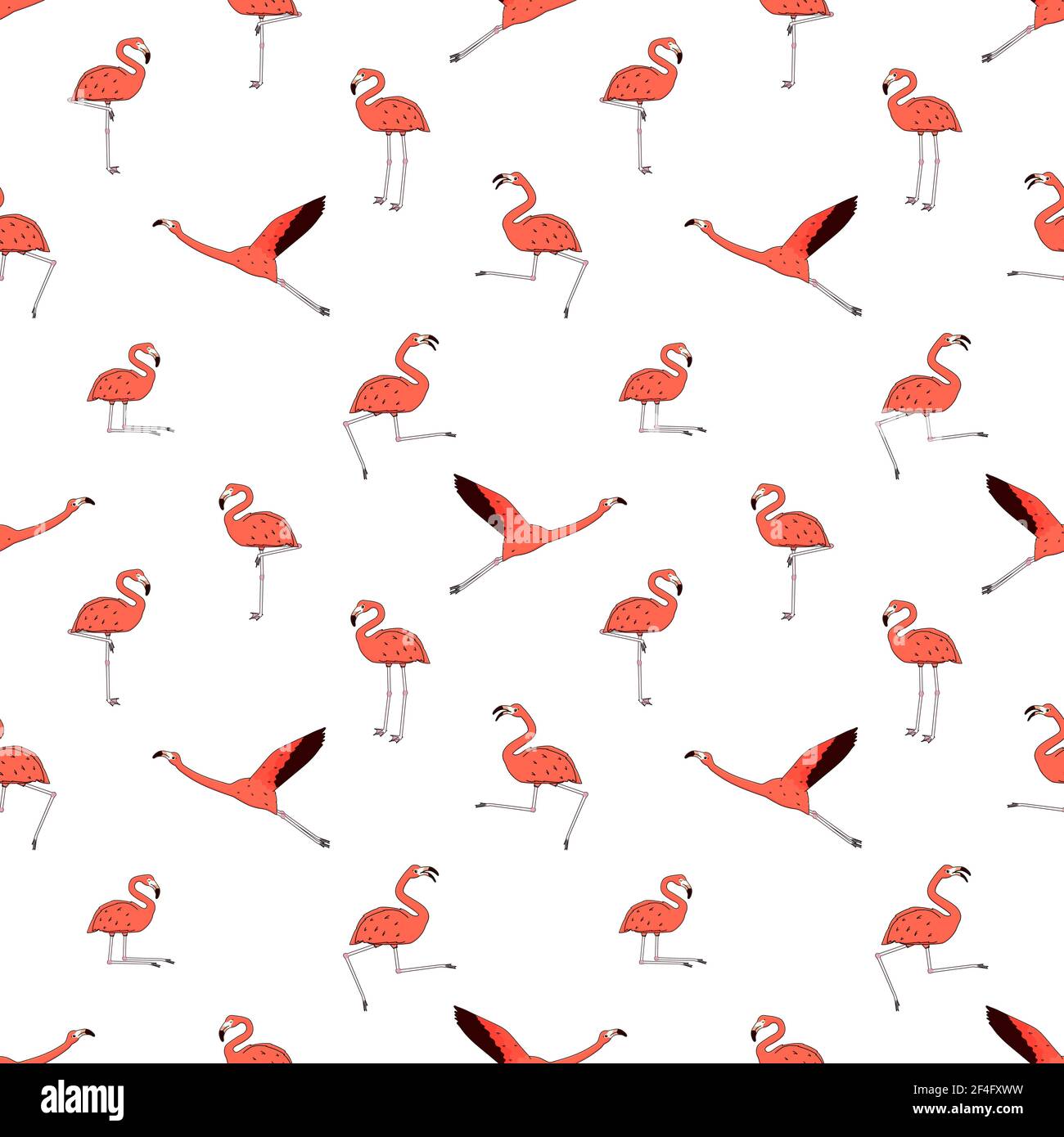 Doodle Vector flamingos are active, dancing, fly, sleep, rest, relax ...