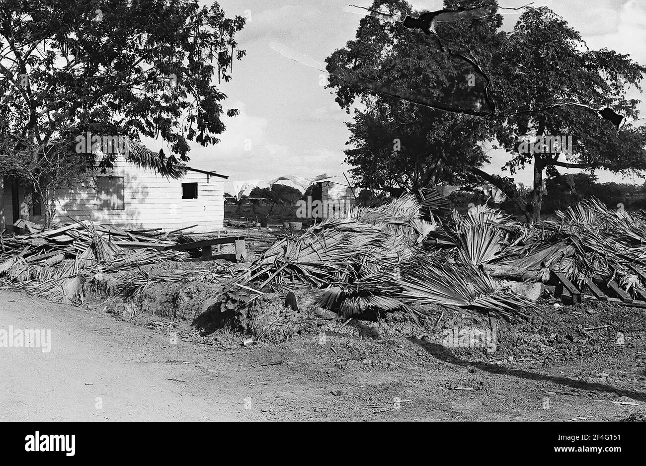 Hurricane Flora damage, Oriente, Cuba, Holguin province, 1963. From the ...