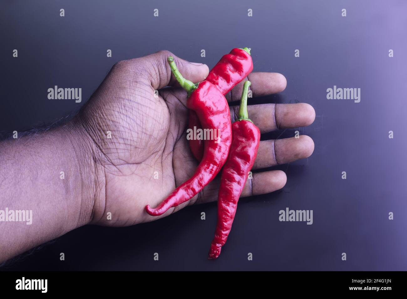 Male hand holding chili hi-res stock photography and images - Alamy